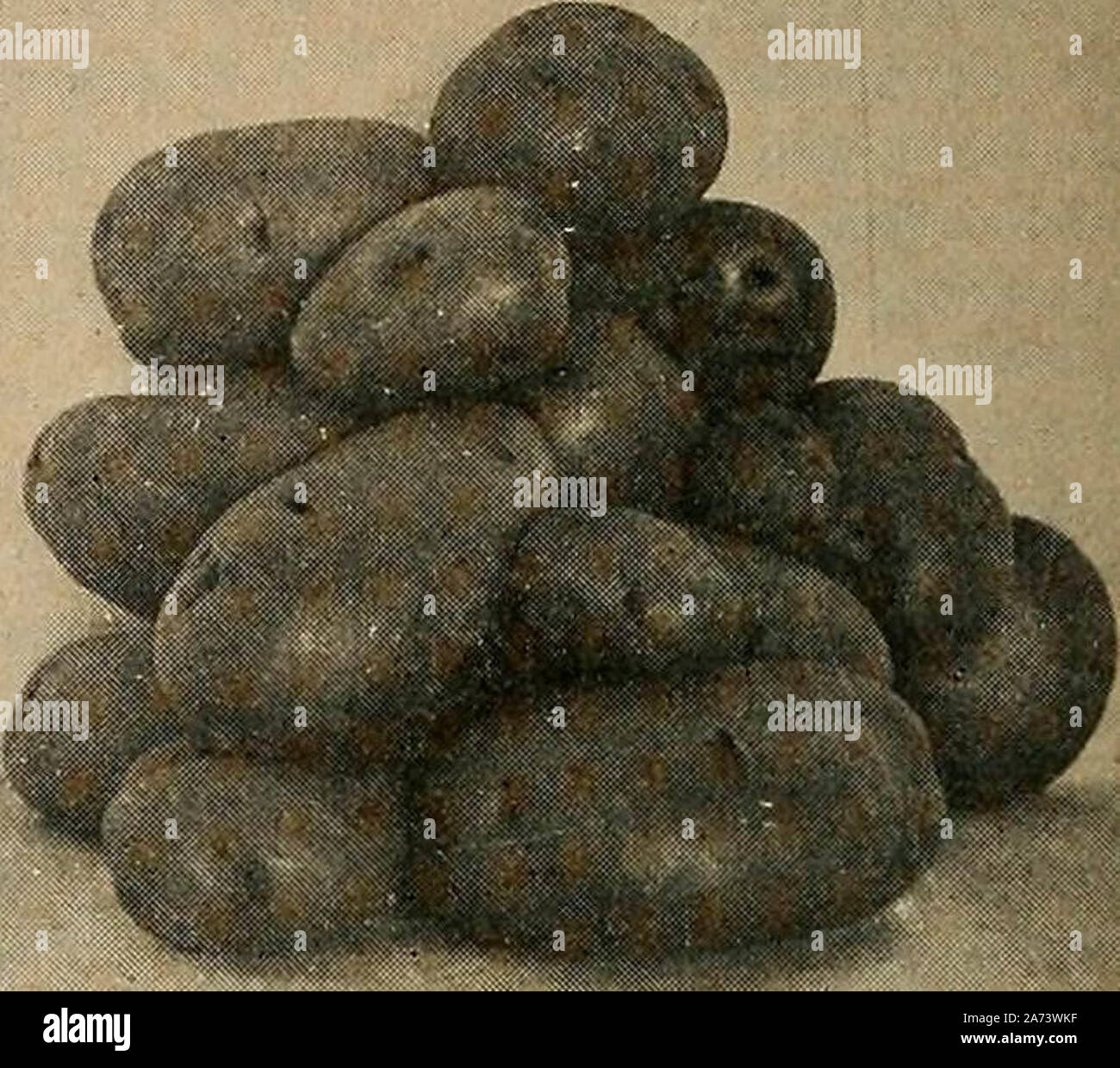 "Manures and fertilizers; a text-book for college students and a work ...