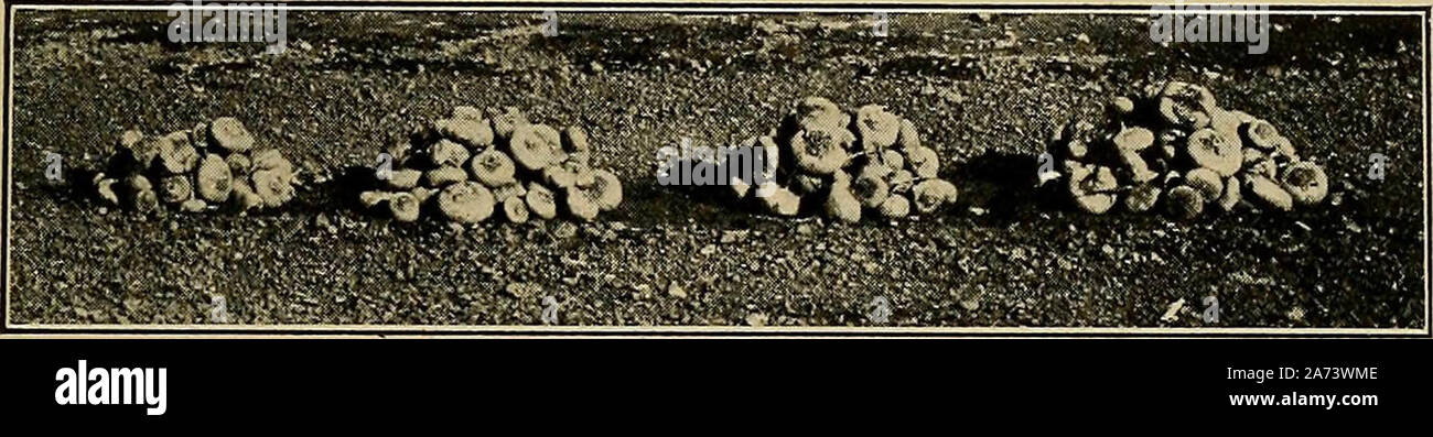 "Manures and fertilizers; a text-book for college students and a work ...