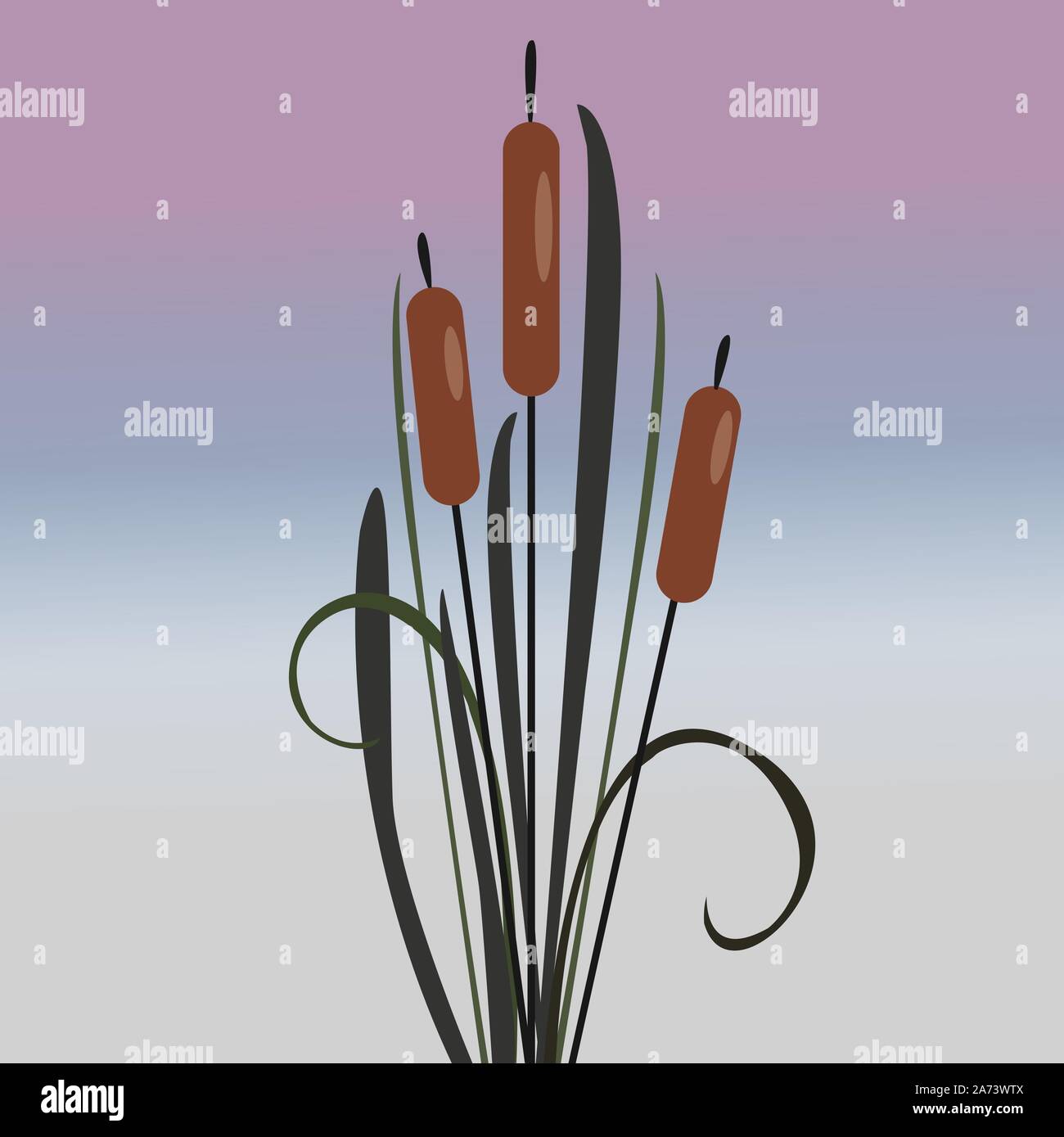 Bush of Swamp Reed on a Lake. vector Illustration Stock Vector Image ...