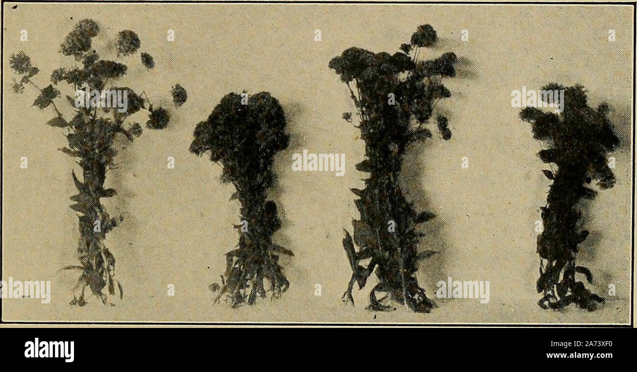 "Manures and fertilizers; a text-book for college students and a work ...