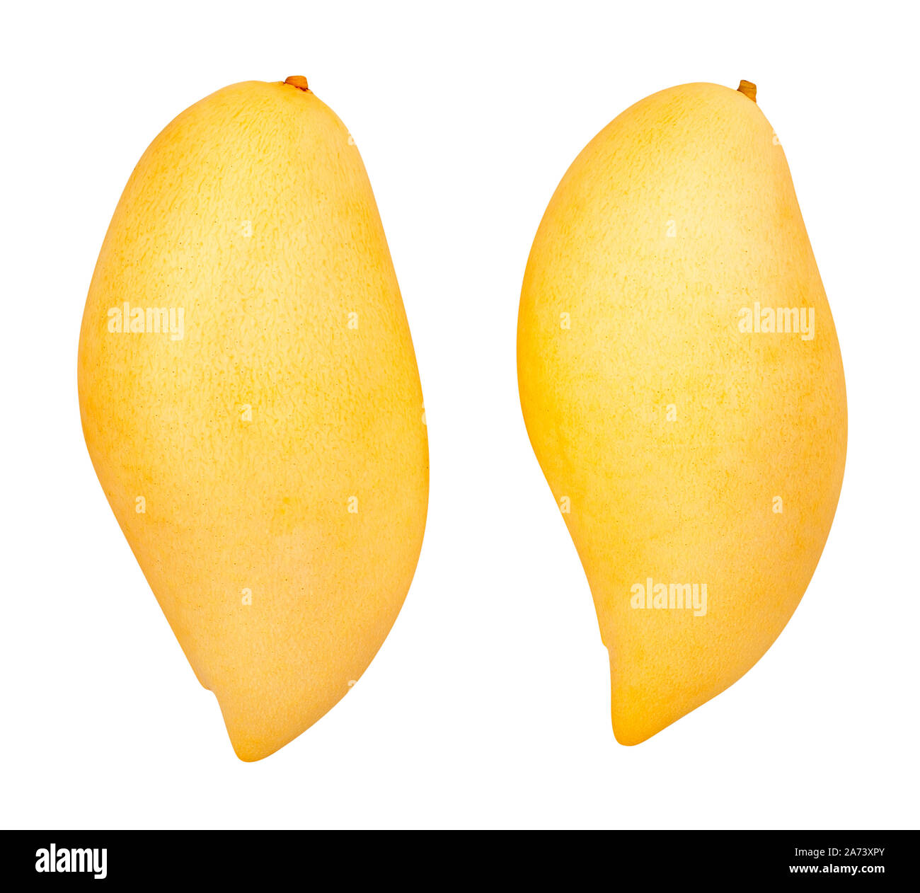 Yellow mango hi-res stock photography and images - Alamy
