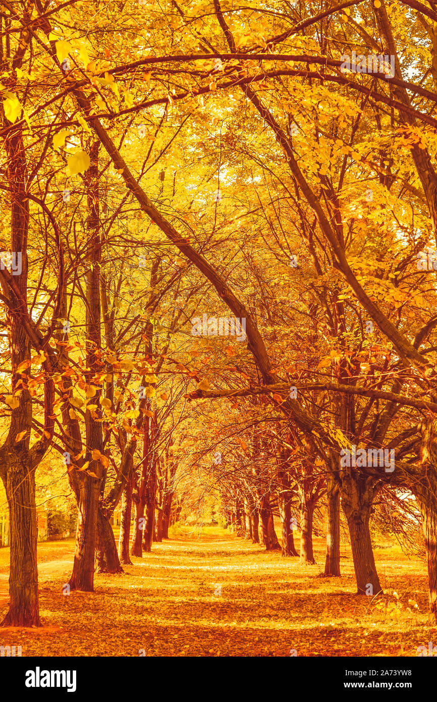 Seasonal travel, retro backdrop and rural environment concept ...