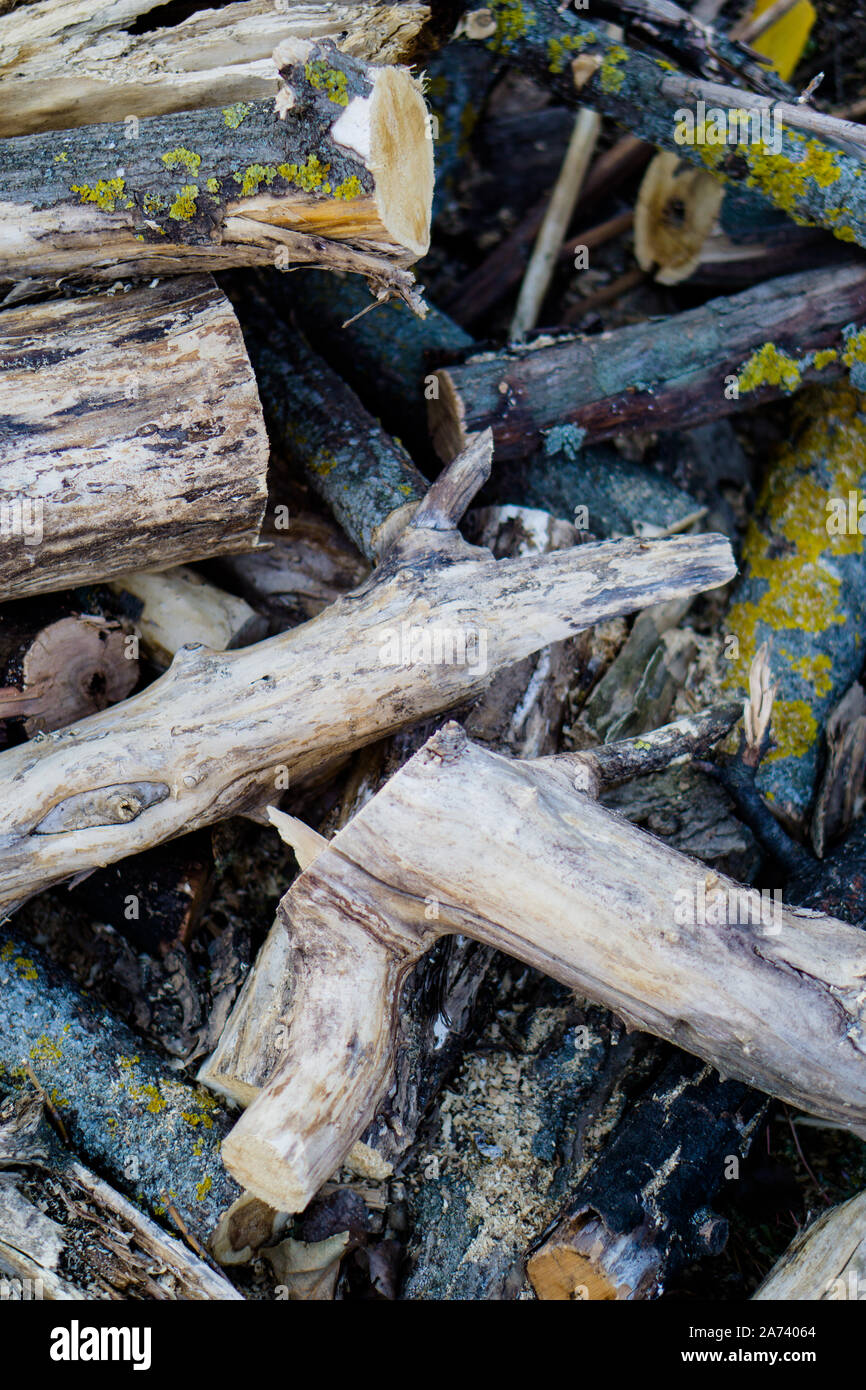 Firewood and logs in countryside house backyard, close-up Stock Photo ...