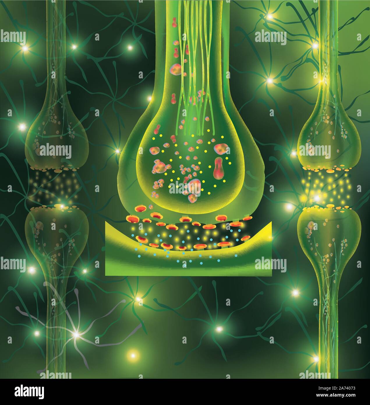 3D synapse and Neuron cells. Transmission signal of impulse in a living ...