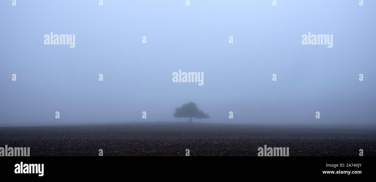 Vast empty scene hi-res stock photography and images - Alamy