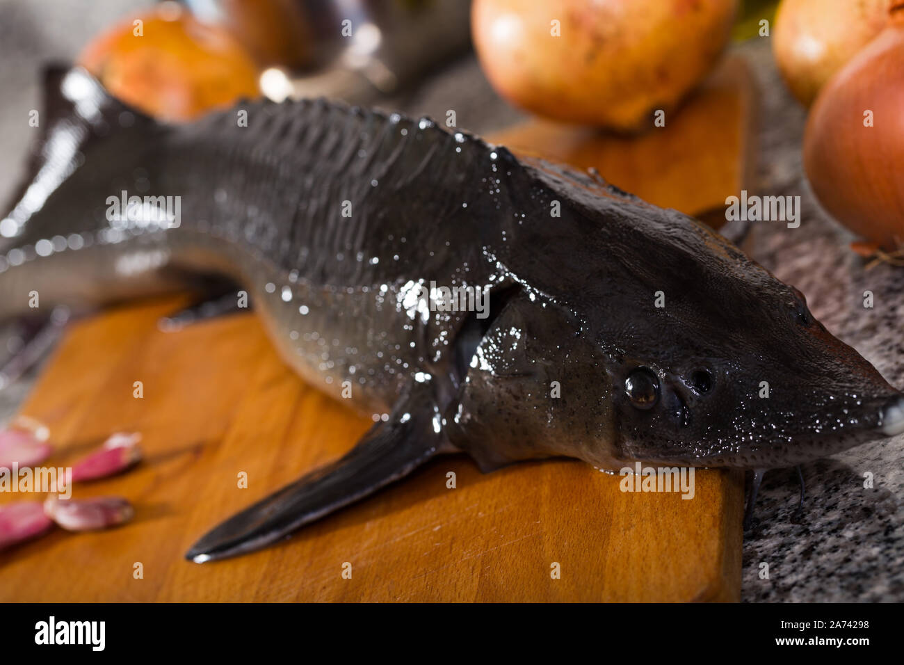 Picture of raw fish sturgeon at plate before preparing laying on table ...