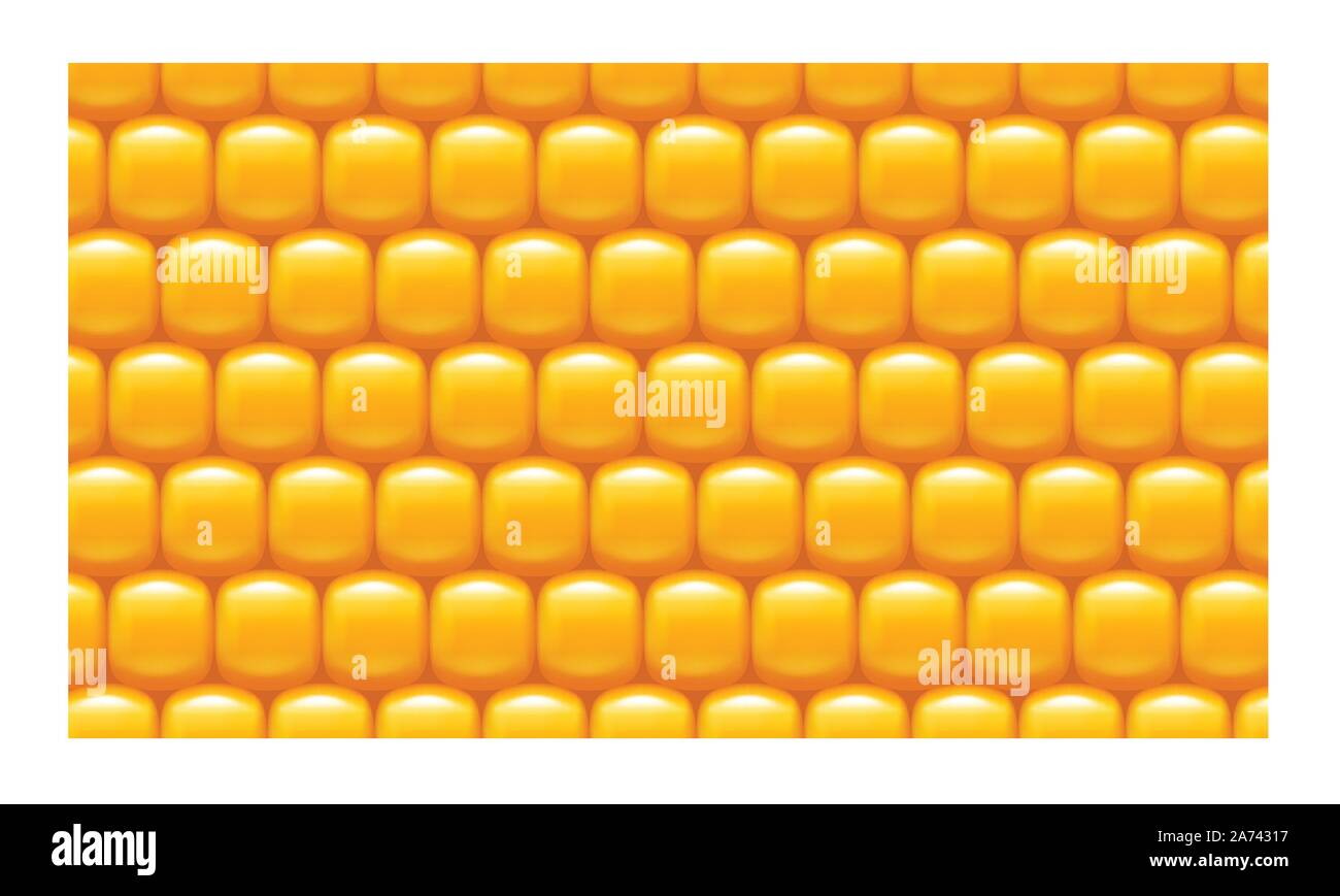 Tasty fresh corn cob Stock Vector Images - Alamy