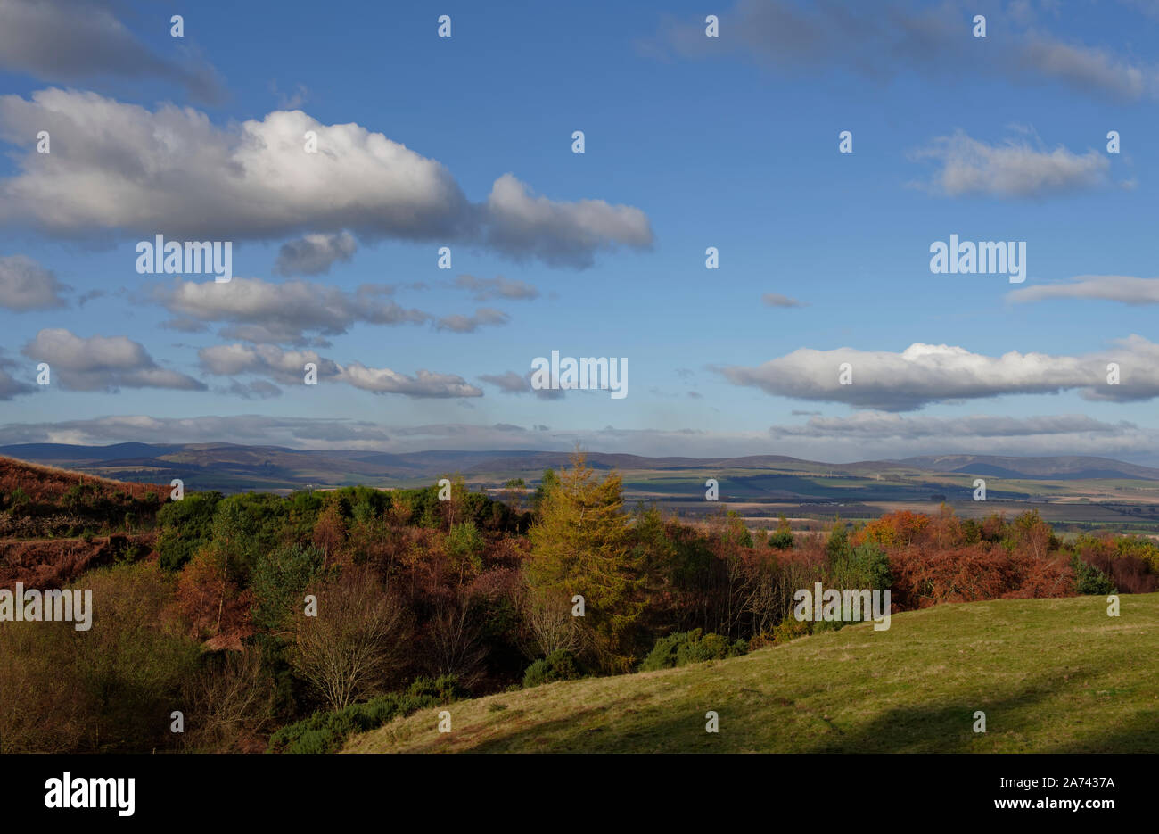 Strathmore valley hi-res stock photography and images - Alamy