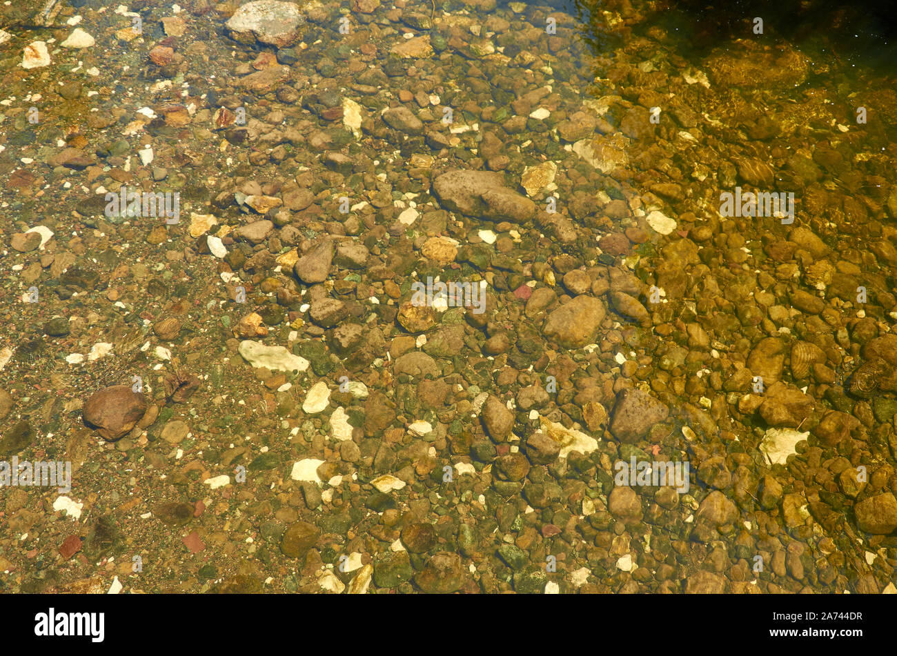 Stone on the bottom of the pond hi-res stock photography and images - Alamy