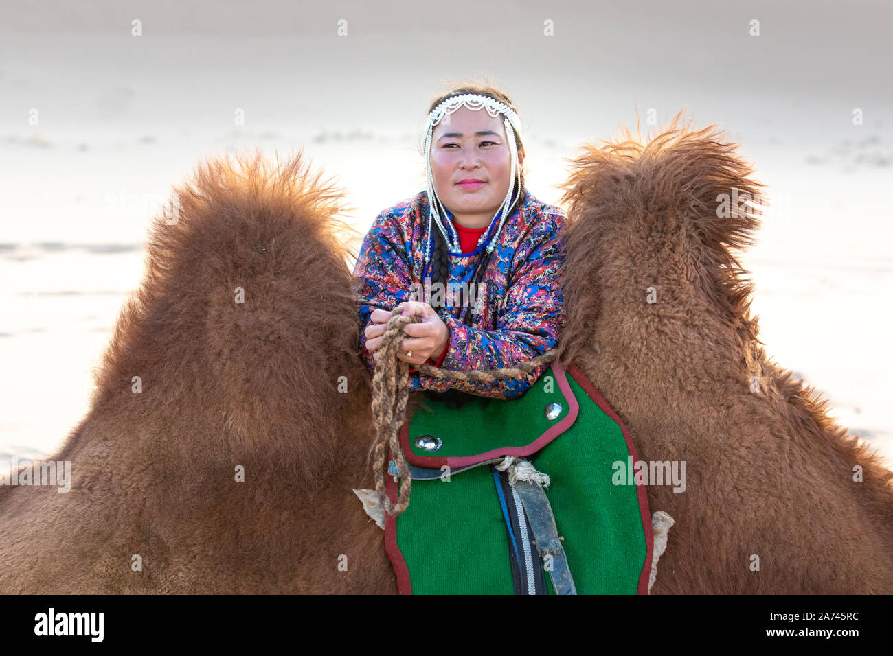 Woman in traditional Mongolian attire with her bactrian camel. Gobi ...