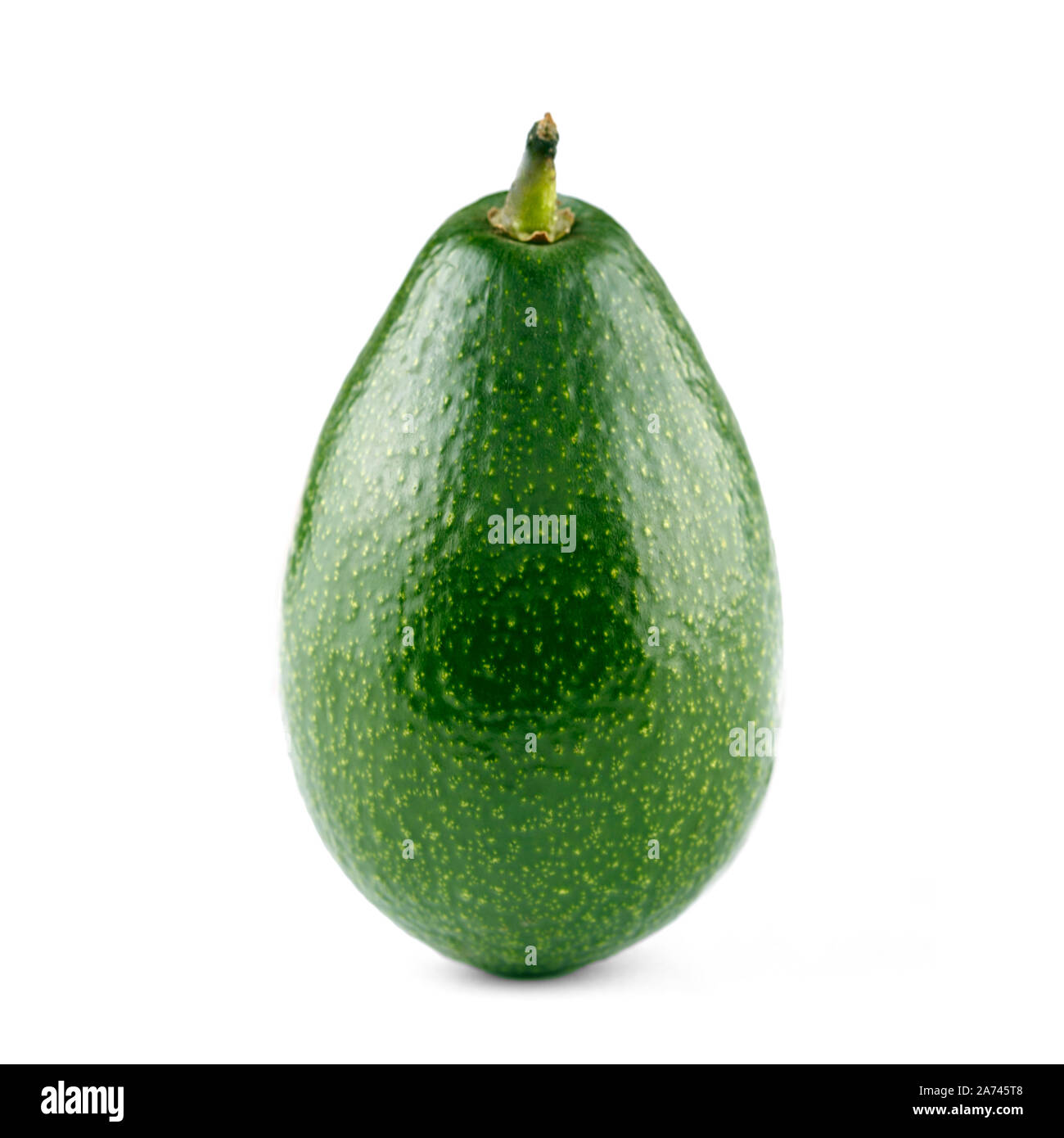 A whole green avocado upright isolated on white background Stock Photo ...