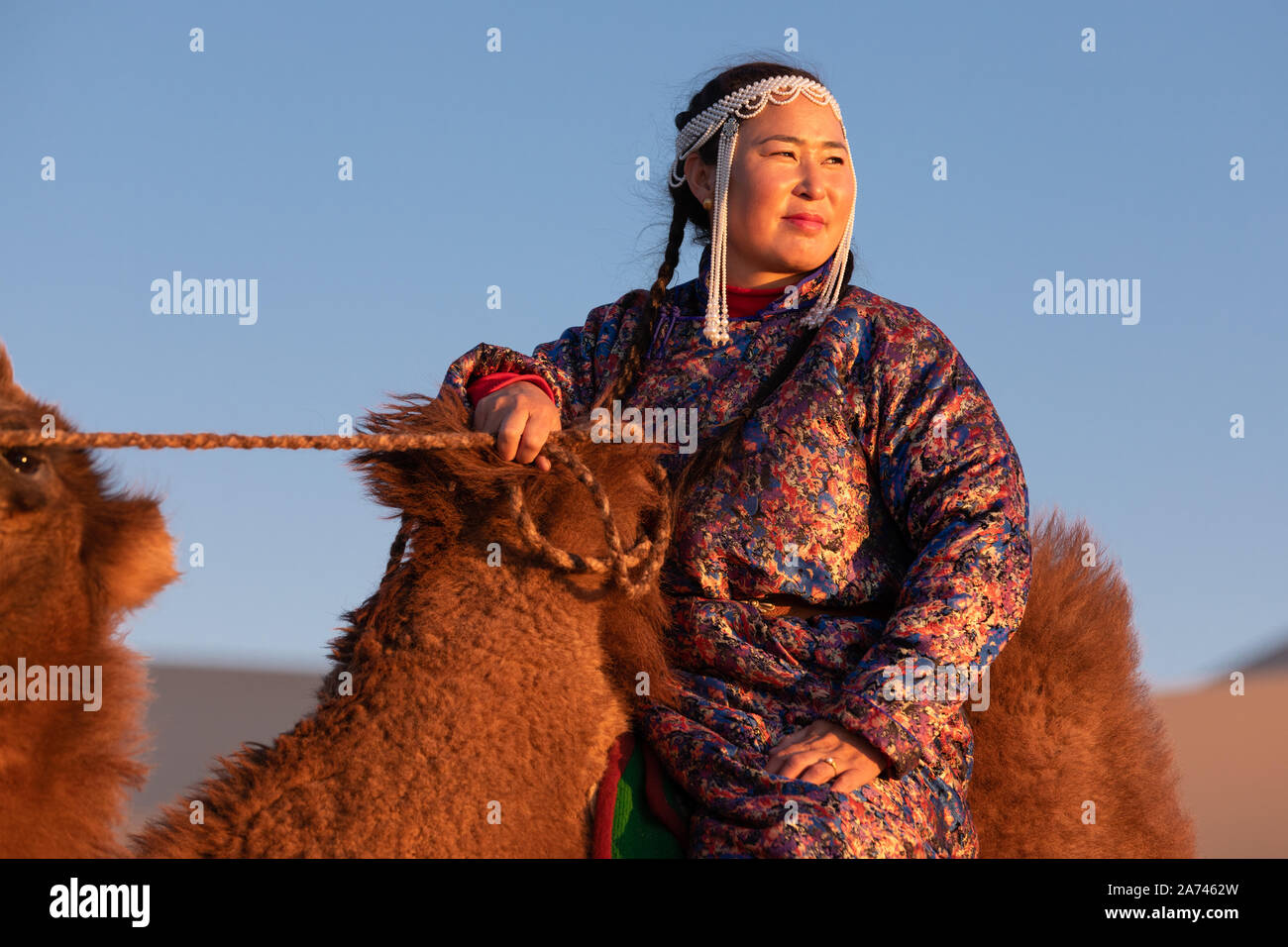 Woman in traditional Mongolian attire with her bactrian camel. Gobi ...