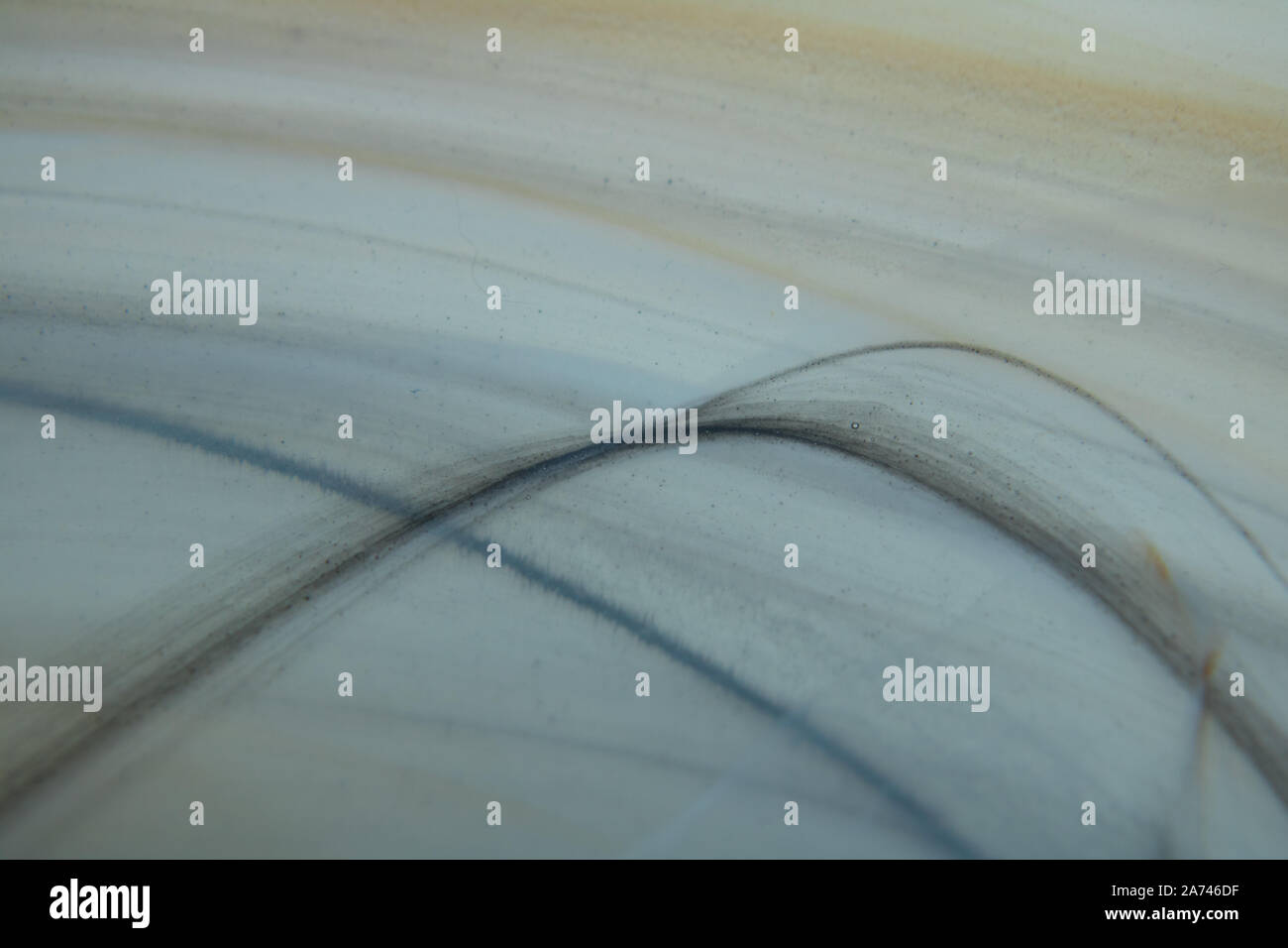 Abstract photography of curves resembling planet surfaces or rings ...
