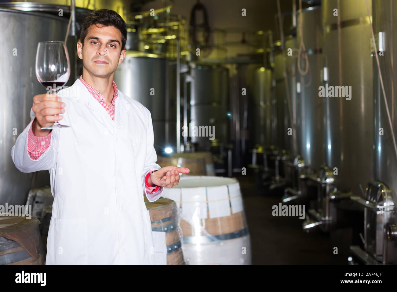 Portrait of professional male sommelier checking wine fermentation in ...