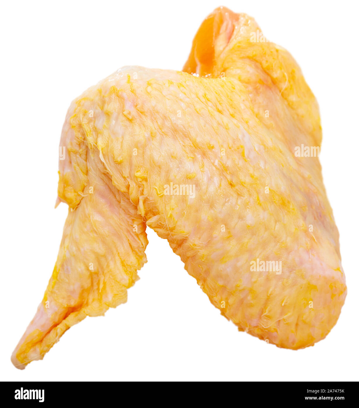 Yellow Chicken White Background