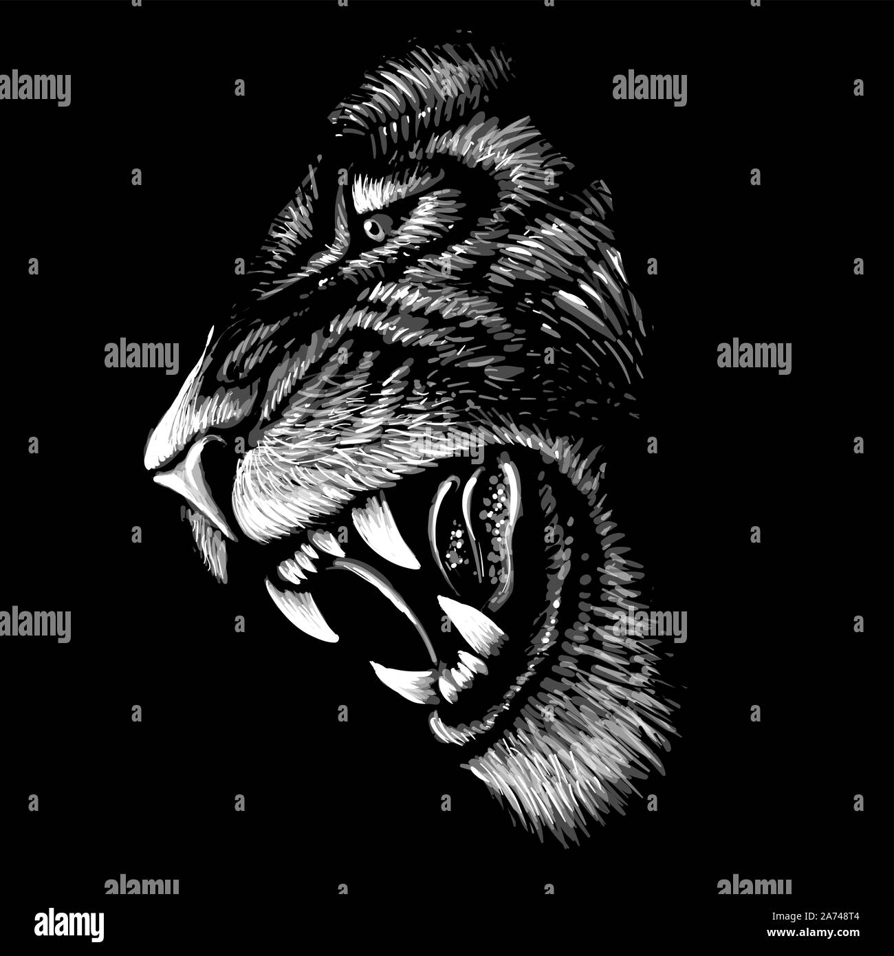 Pencil drawing tiger on Stock Vector Images - Alamy