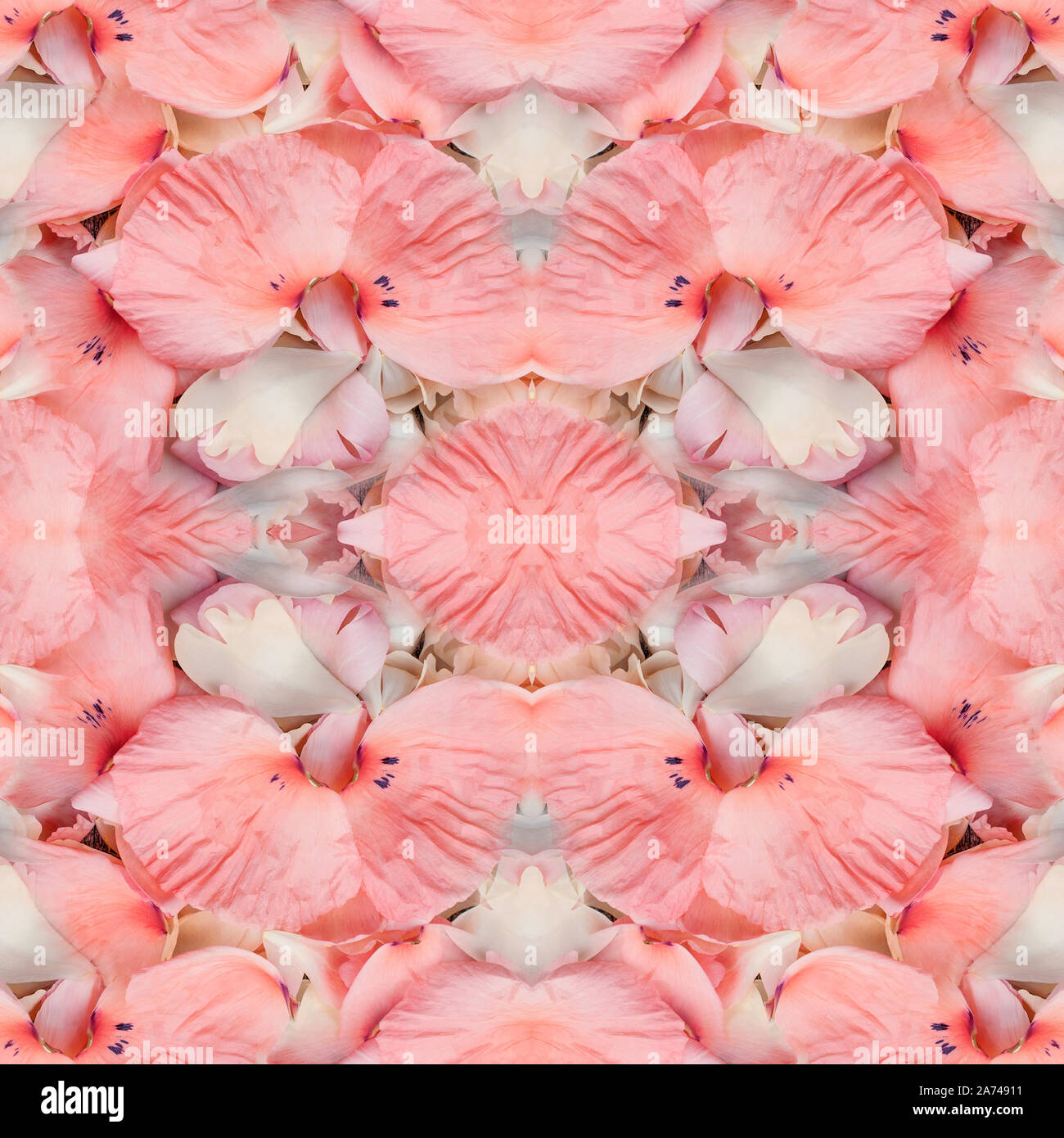 textured natural background of petal pink Poppy. Macro. A horizontal ...