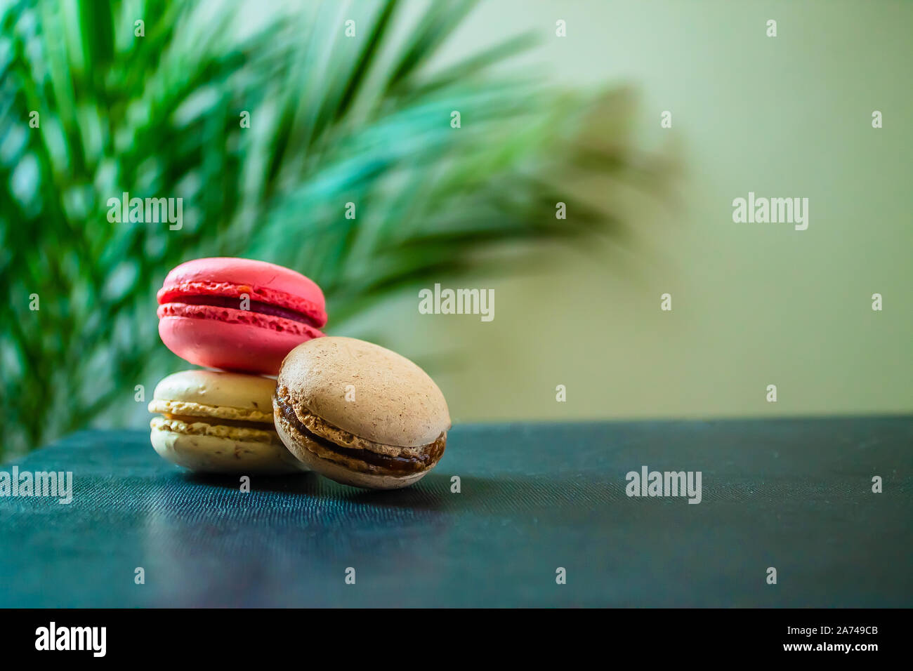 three macaroons cookies on a dark background with a palm tree at the ...