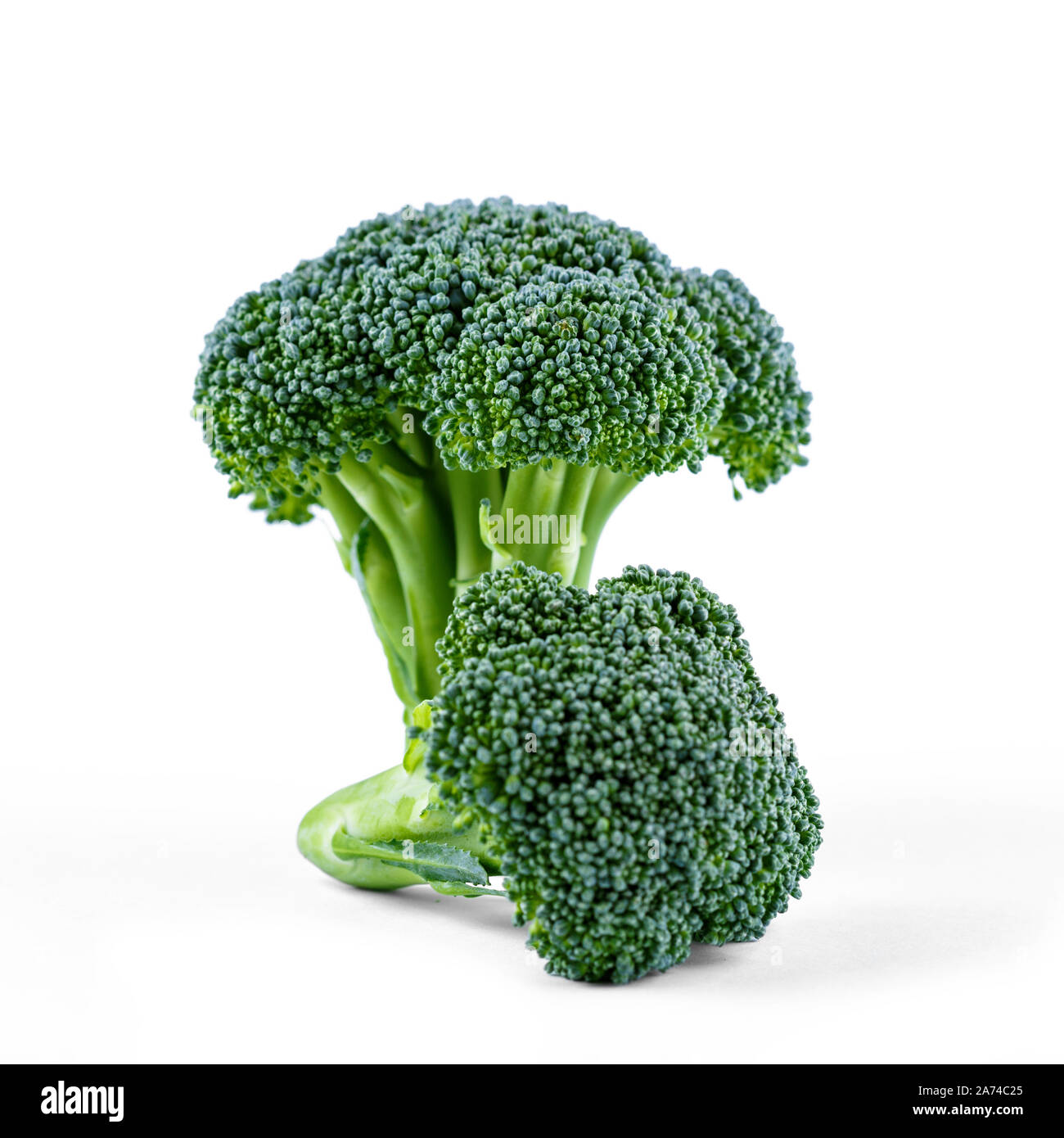 Two green broccoli isolated on white background Stock Photo - Alamy