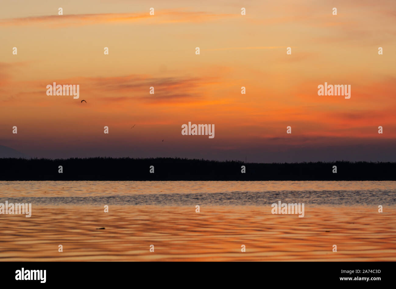 Sun rise landscapes hi-res stock photography and images - Alamy