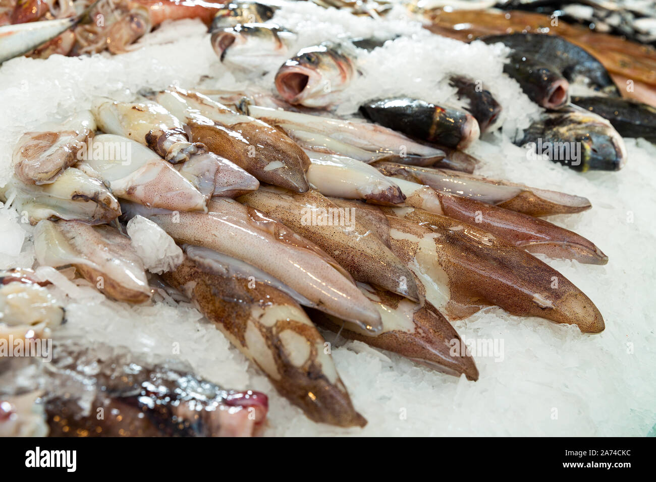 Fresh raw calamari on ice on counter in fish shop or restaurant Stock ...