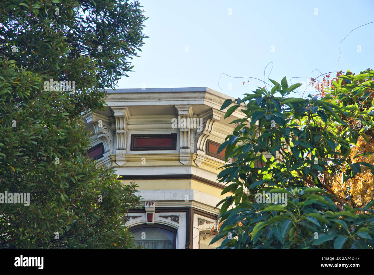 Architectural details of decorative buildings in San Francisco ...