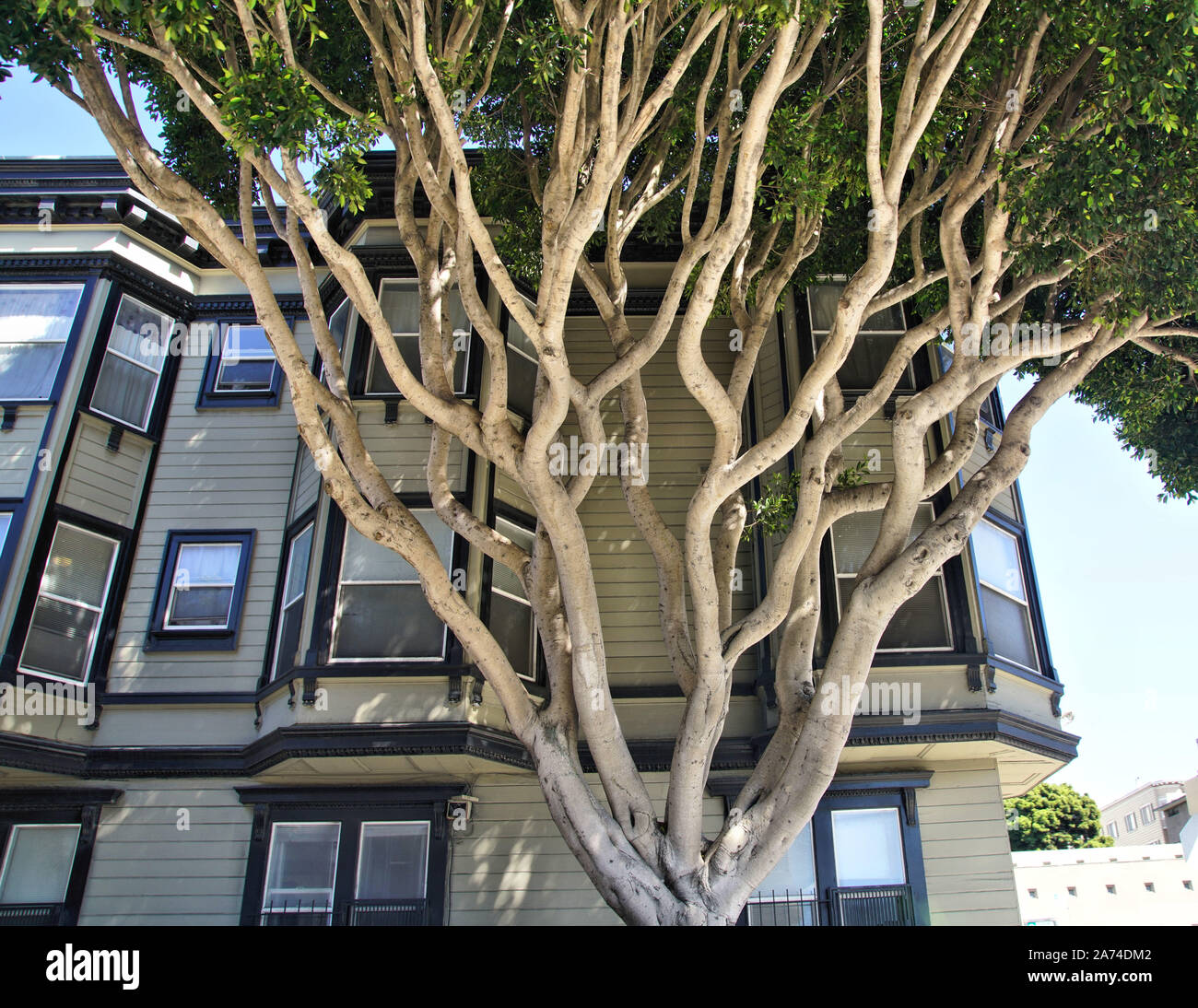 Decorative buildings hi-res stock photography and images - Alamy