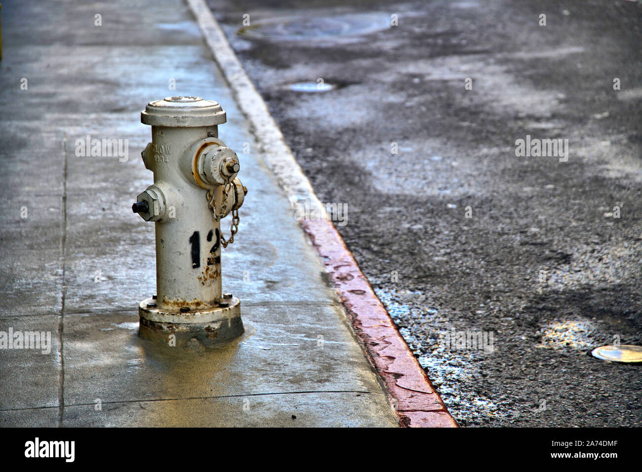 weathered fire hydrant adjacent to the street curb in San Francisco ...
