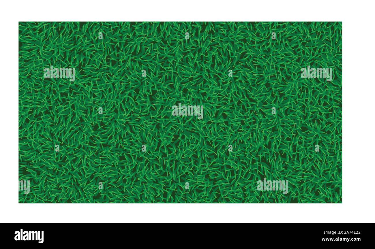 picture of grass Stock Vector Image & Art - Alamy
