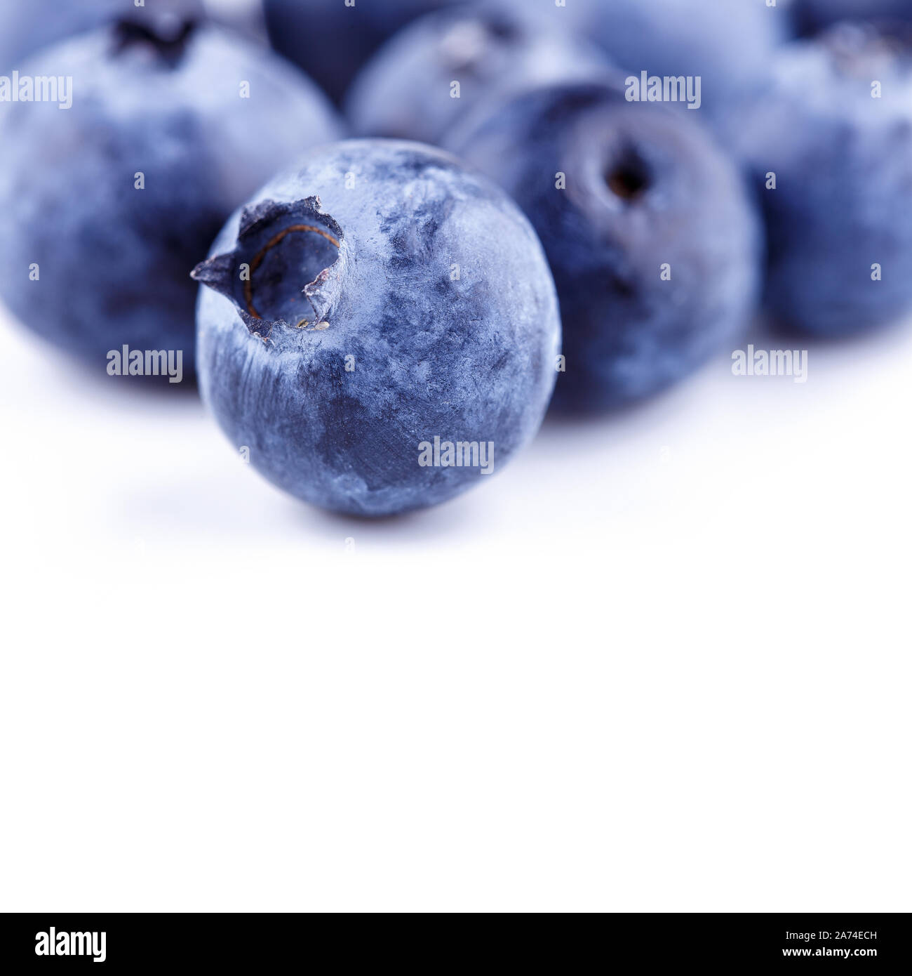 Tasty juicy fresh bilberries close-up isolated on white background ...