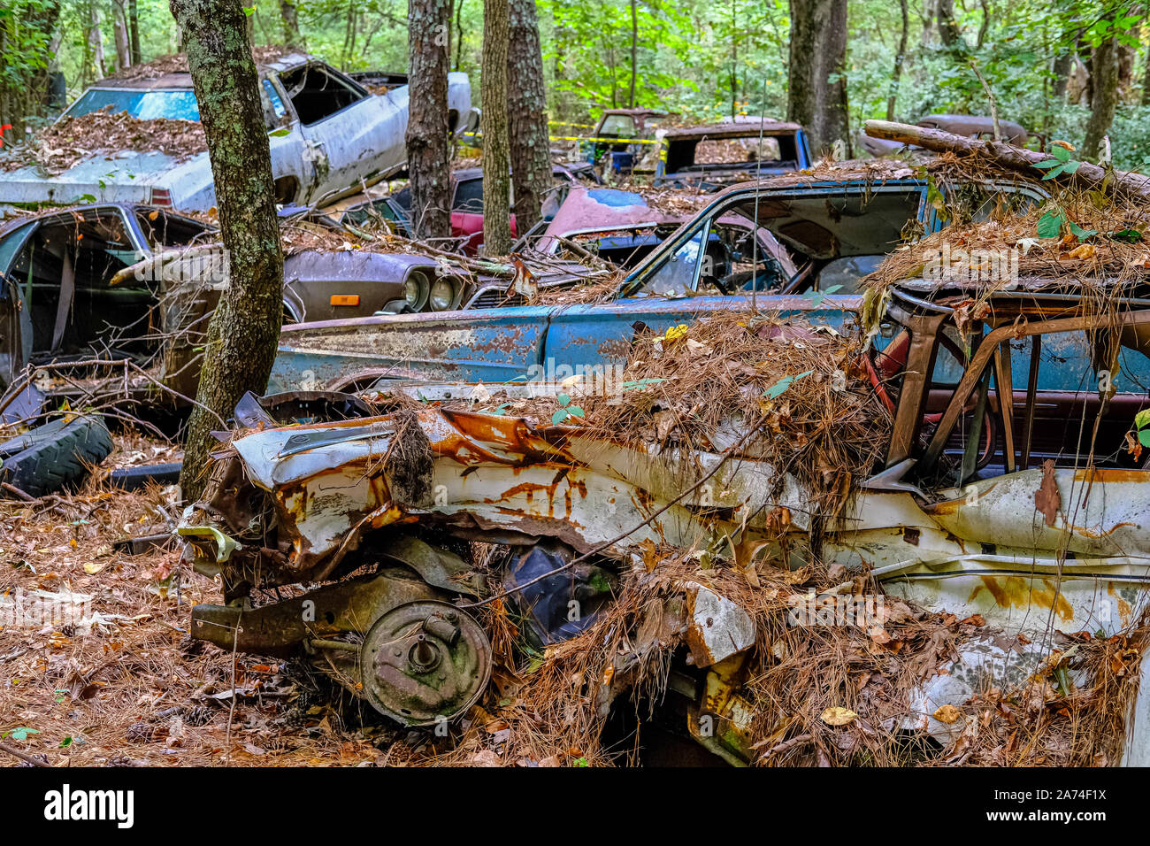 Pile of Wrecked Cars in a Woodland Junkyard Stock Photo - Alamy