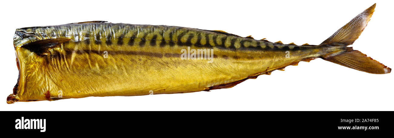 Traditional Russian appetizer. Tasty cold smoked mackerel. Isolated ...