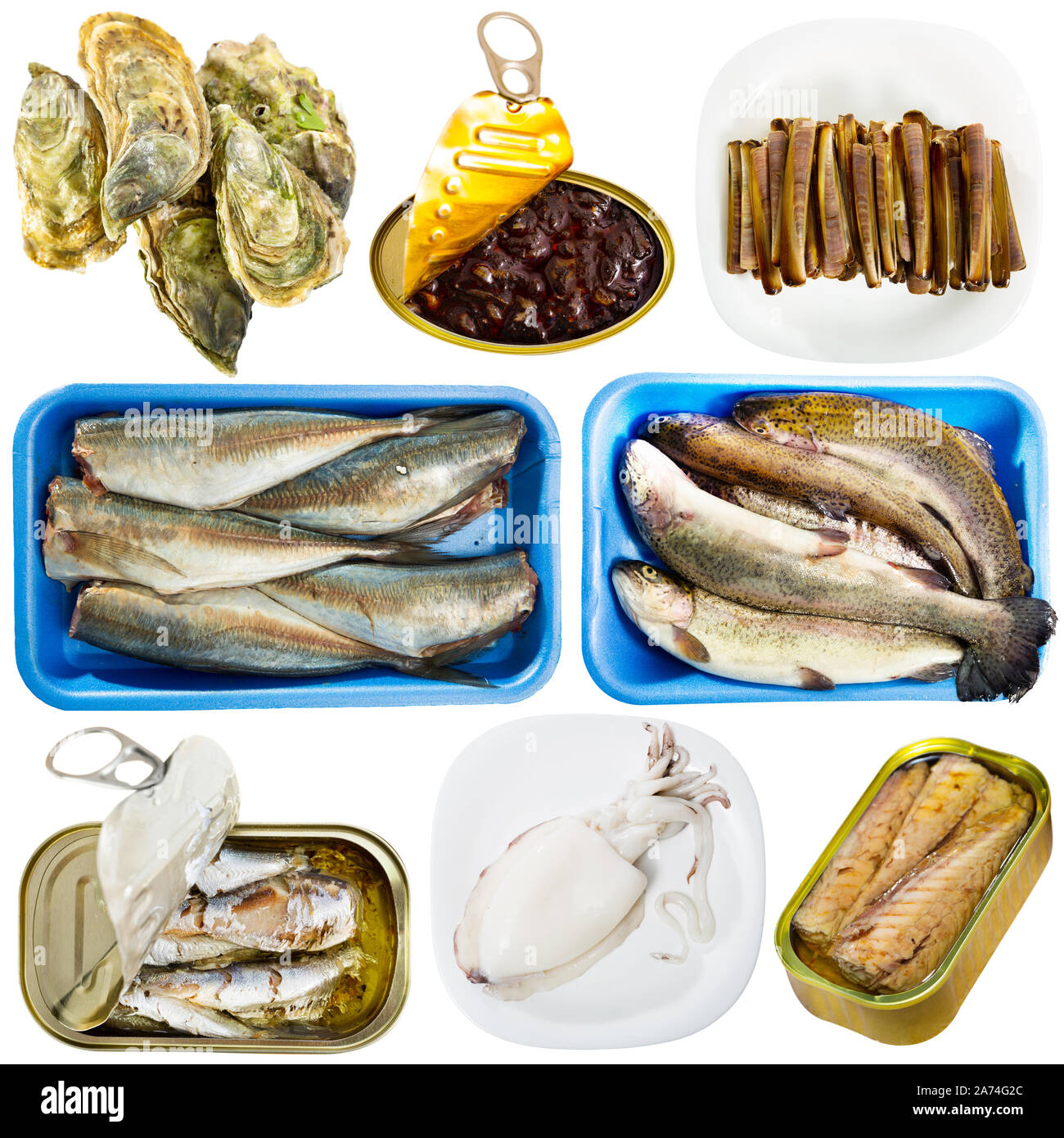 Semi fish Cut Out Stock Images & Pictures - Alamy