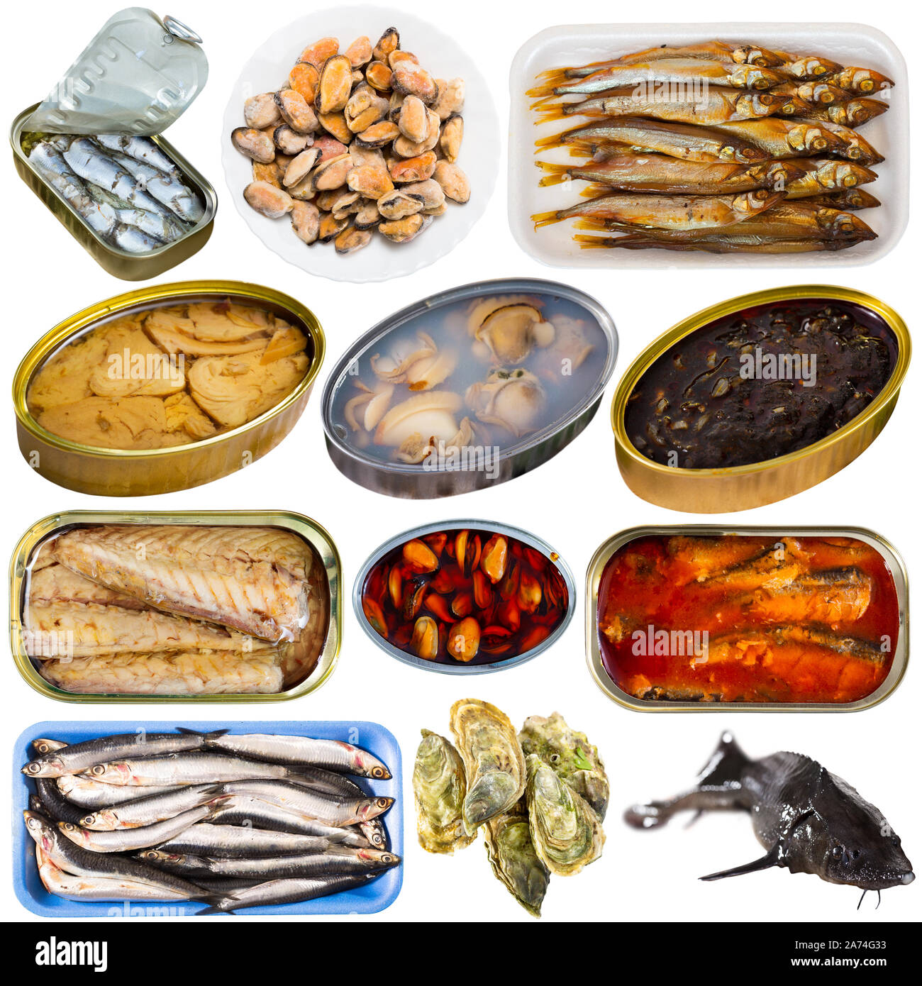 Set of assorted raw fish and semi-finished seafoods isolated on white ...