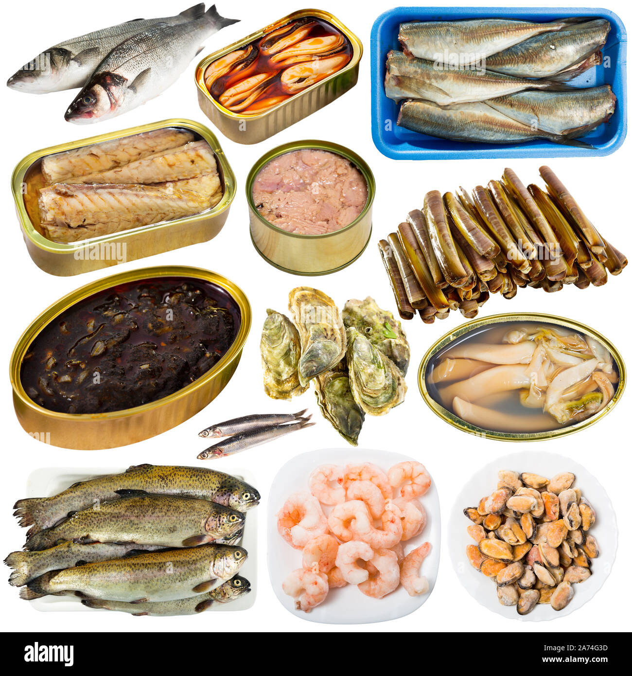 Fish products store