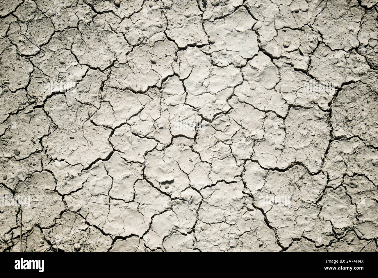 Background in high resolution created with drought land Stock Photo - Alamy