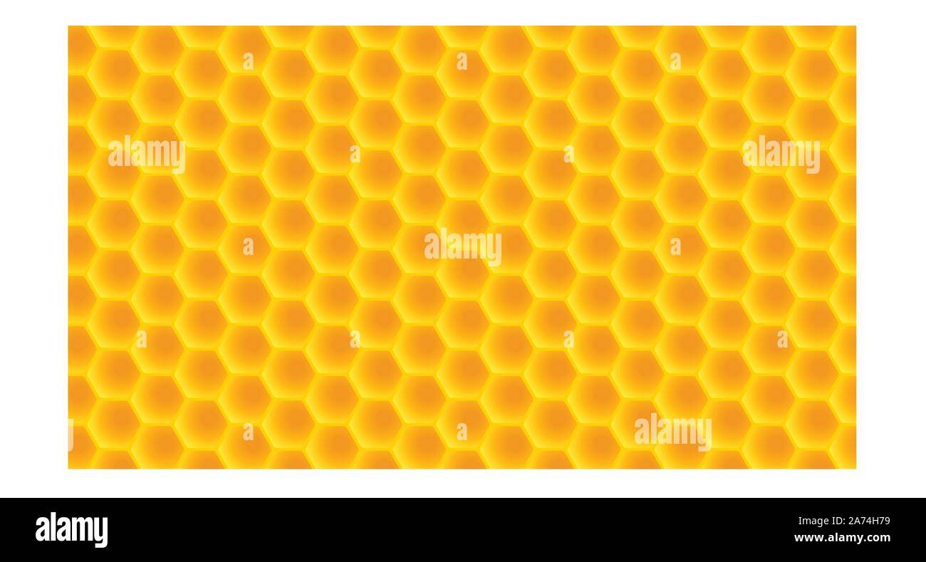 Realistic honey bee on Stock Vector Images - Alamy