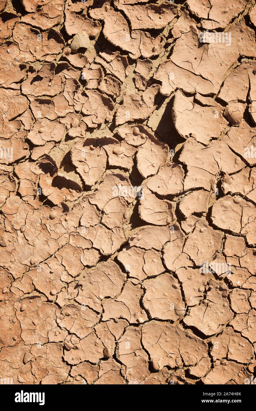 Background in high resolution created with drought land Stock Photo - Alamy