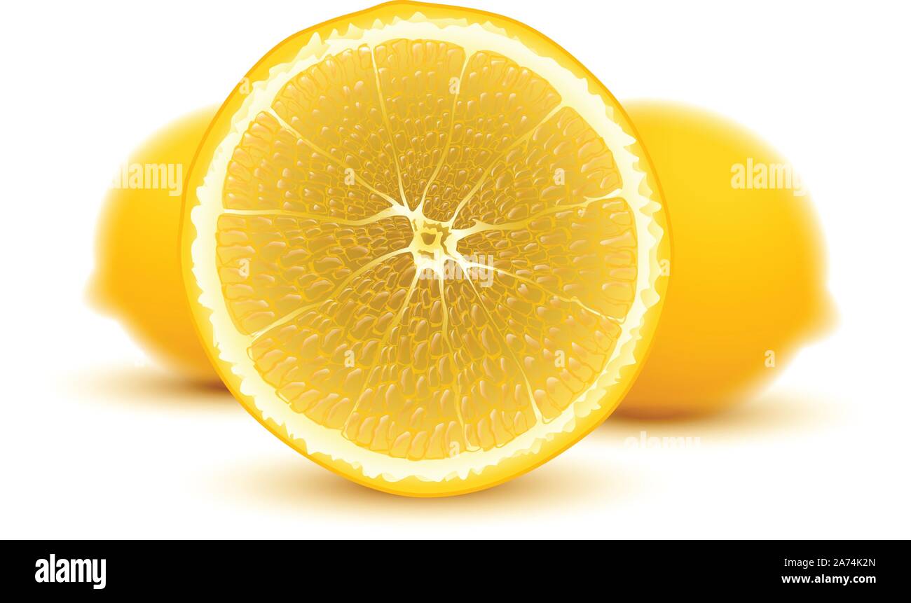 picture of lemon dolka Stock Vector Image & Art - Alamy