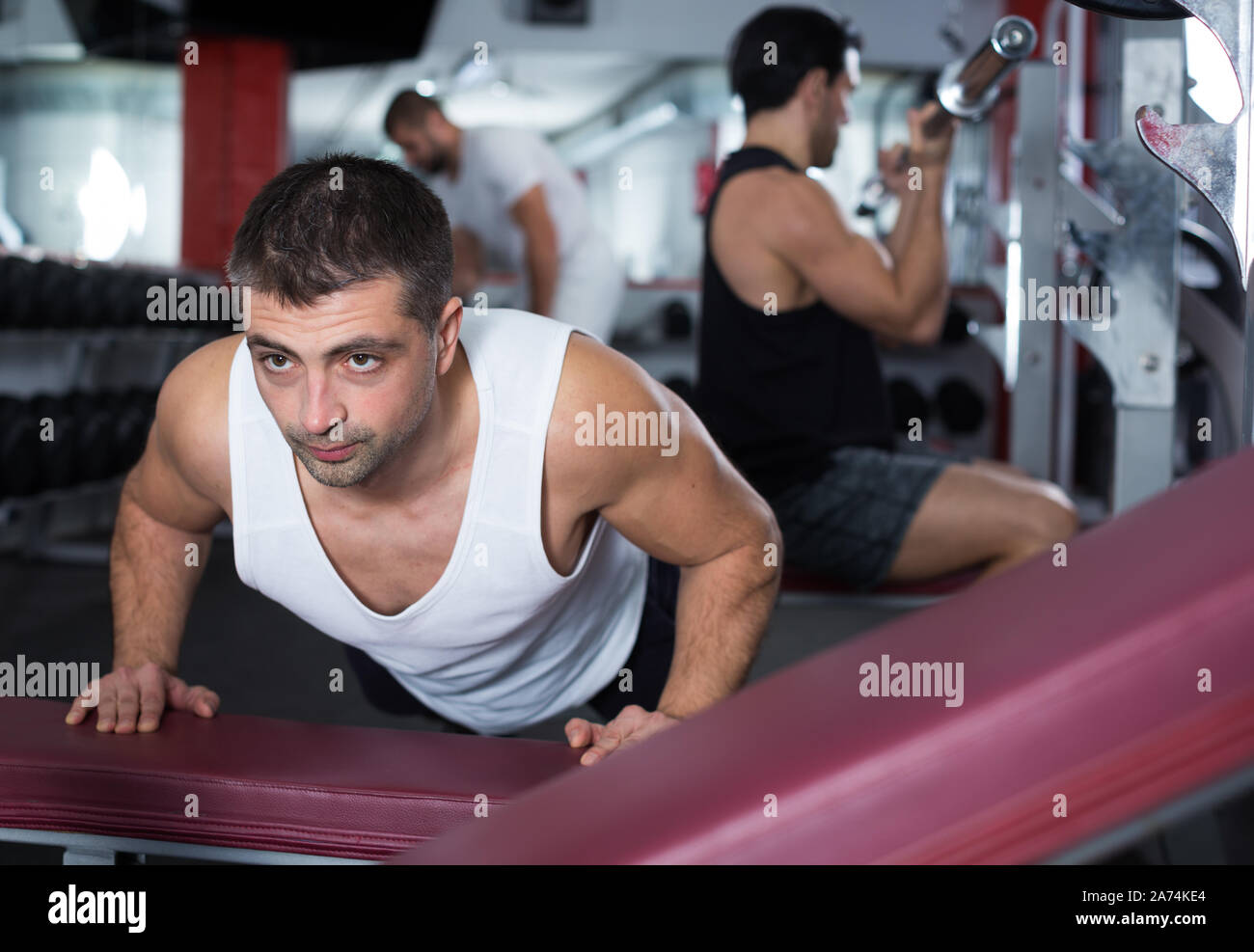 Portrait of athletic man training in gym doing incline push-ups Stock ...