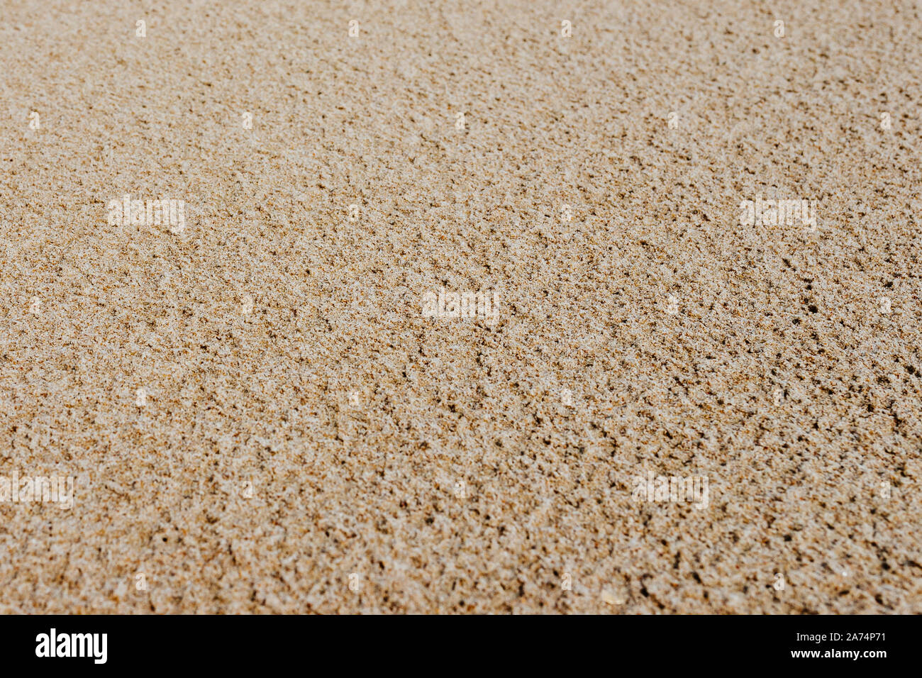 Top view of the fine sand texture, empty space, place for an ...
