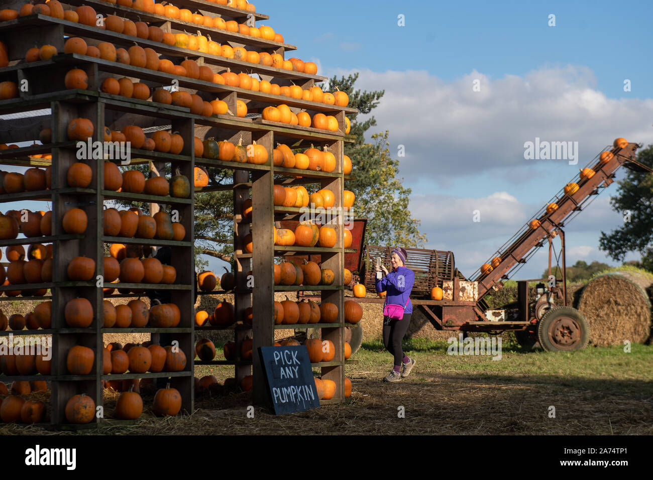 Visitors at the pumpkin house at Brookhill Farm in Thursford, Norfolk ...