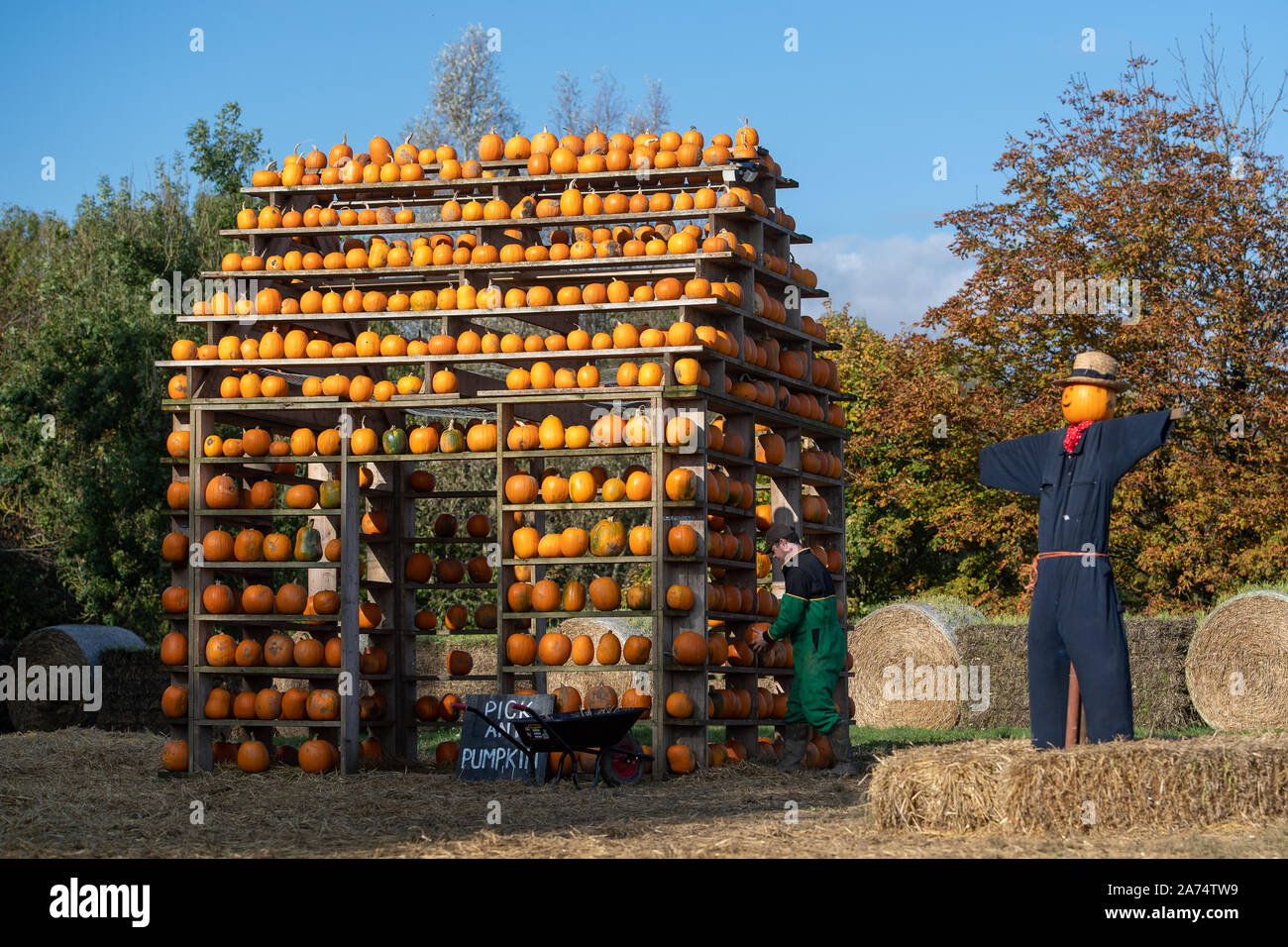 Henry Cushing replaces pumpkins on his pumpkin house at Brookhill Farm ...