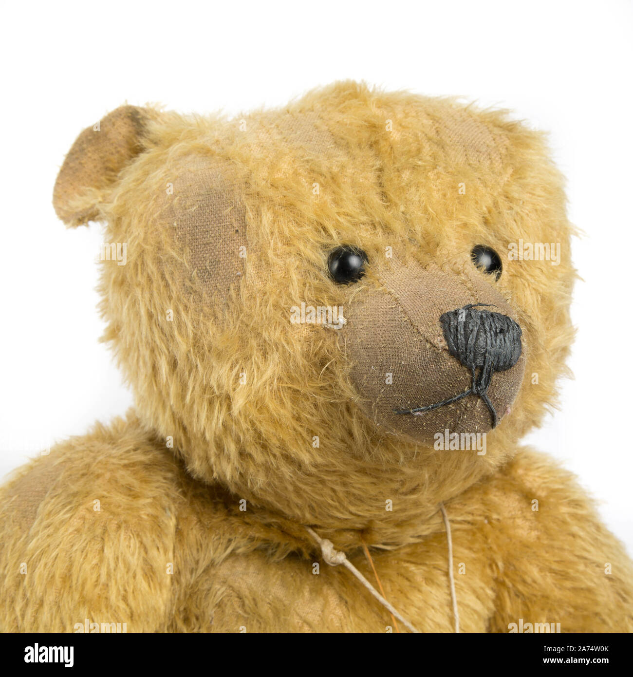 Vintage teddy bear on plain white background Stock Photo - Alamy