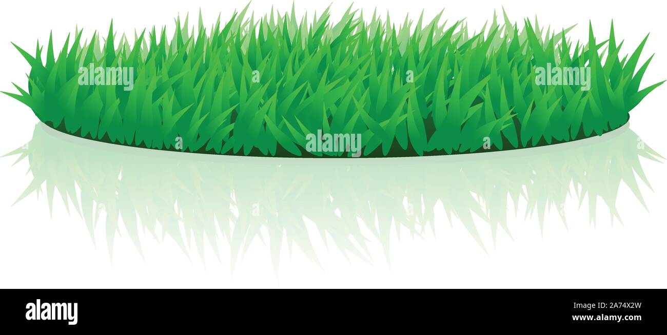 round grass field 01 Stock Vector Image & Art - Alamy