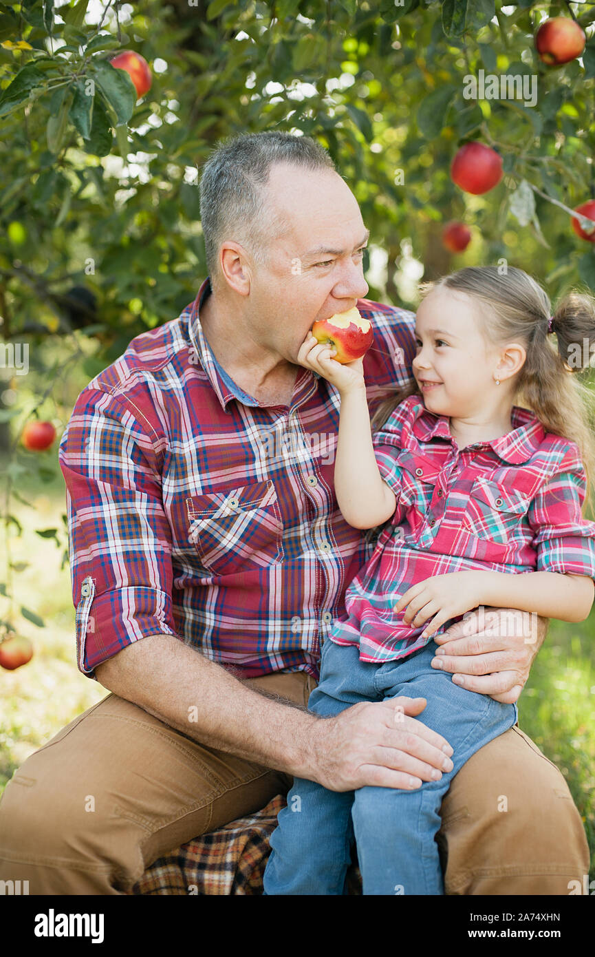 grandfather with granddaughter with Apple in the Apple Orchard ...
