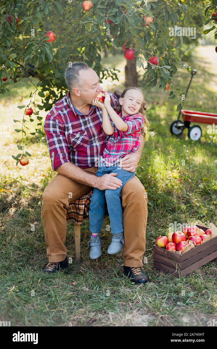 grandfather with granddaughter with Apple in the Apple Orchard ...