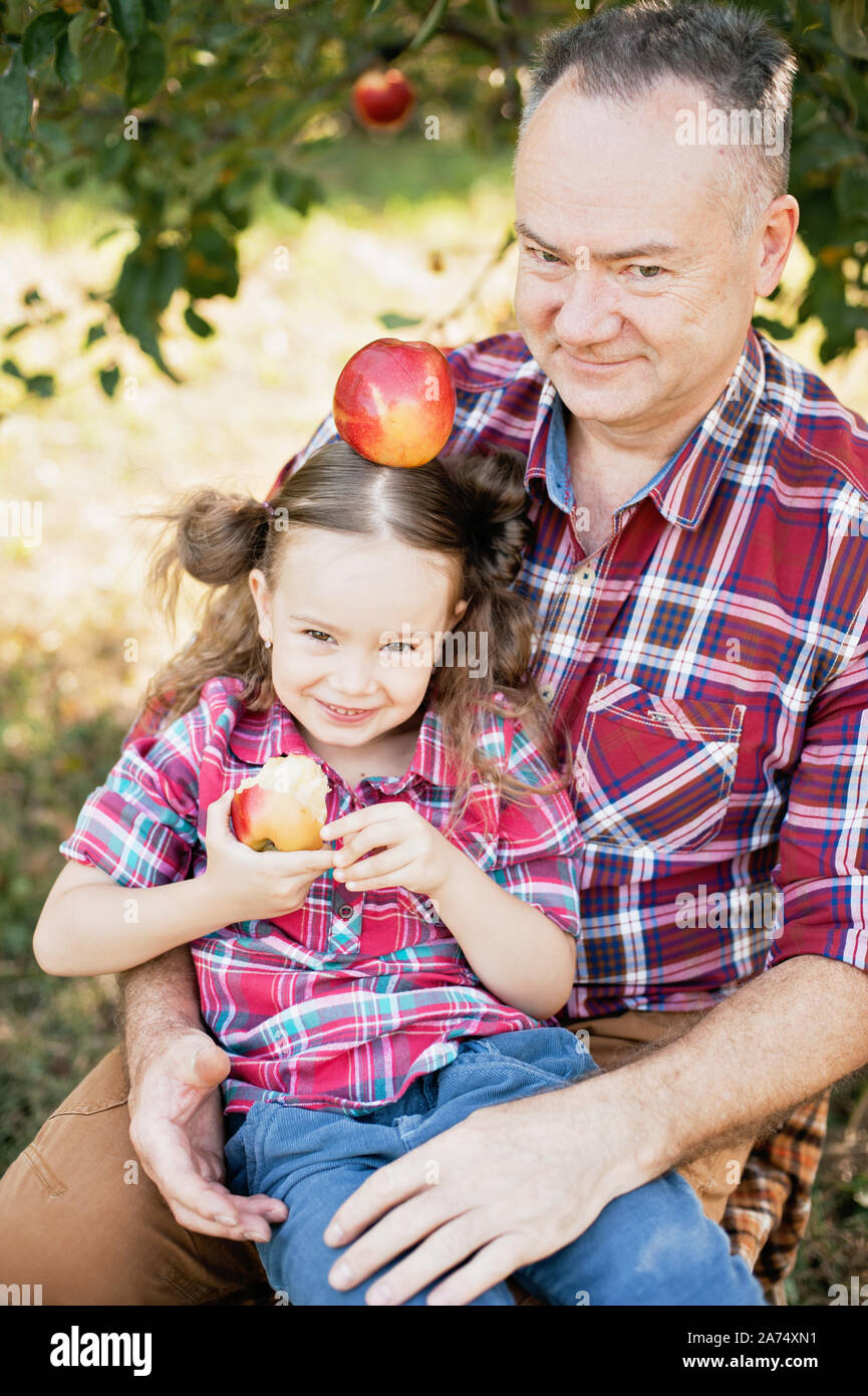 grandfather with granddaughter with Apple in the Apple Orchard ...