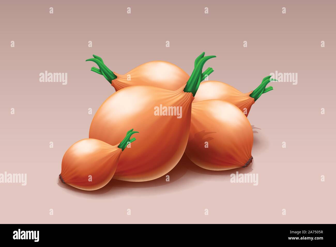 Spring onion onions Stock Vector Images - Alamy