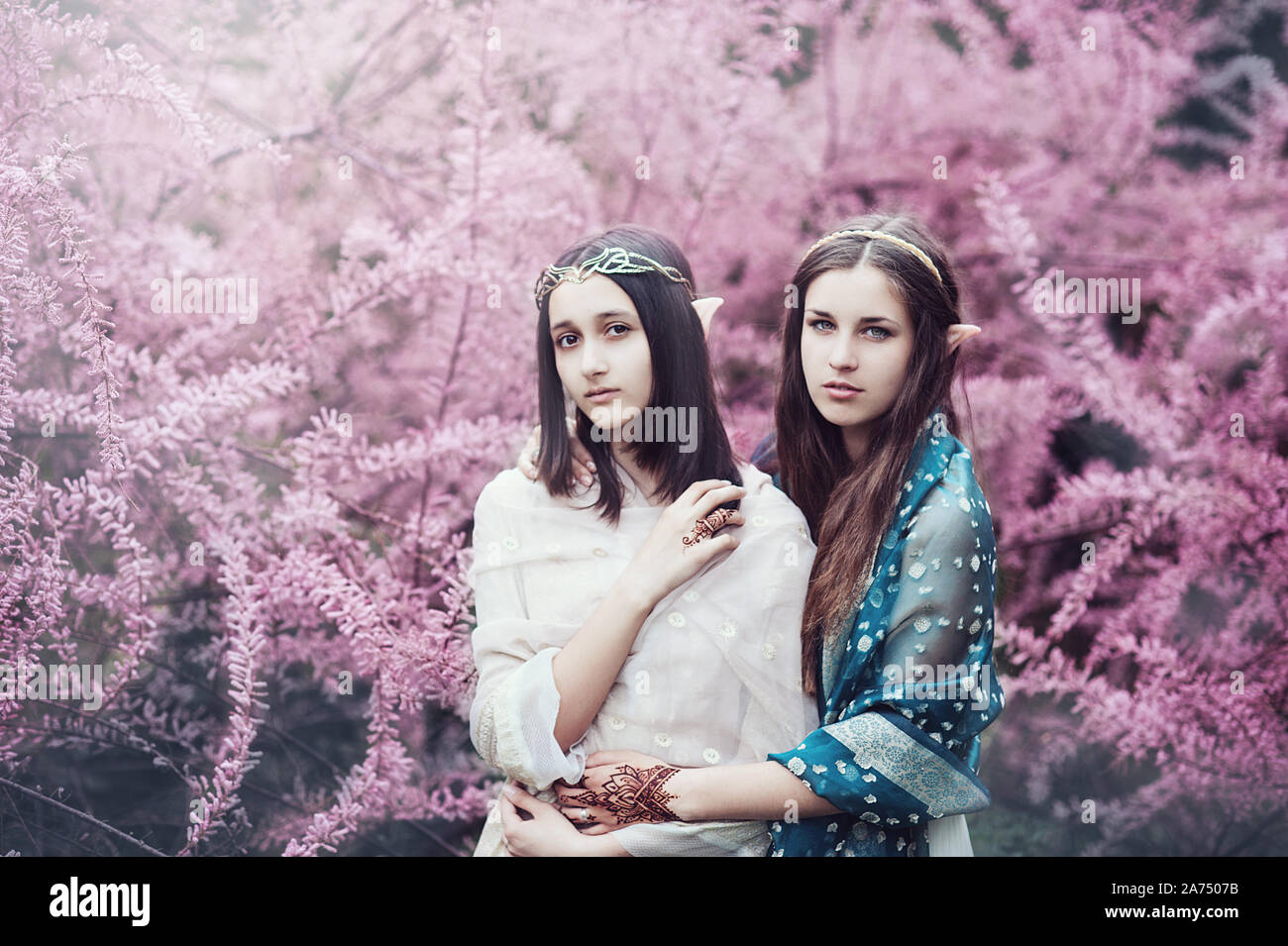 fairy tale girls. Portrait of mystic elven sisters. Cosplay character ...
